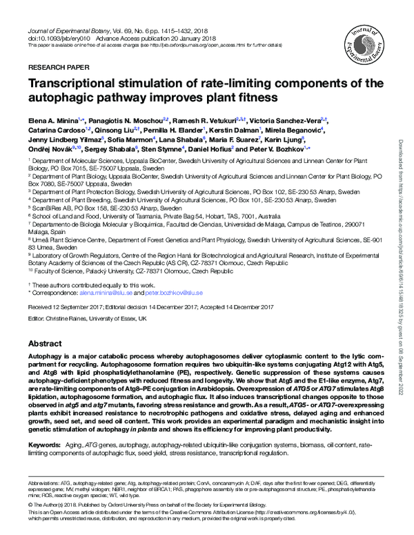 (PDF) Transcriptional stimulation of rate-limiting components of the ...
