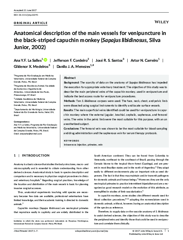 (PDF) Anatomical description of the main vessels for venipuncture in the black-striped capuchin ...
