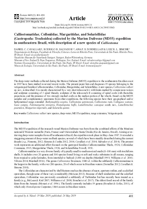 (PDF) Calliostomatidae, Colloniidae, Margaritidae, and Solariellidae ...