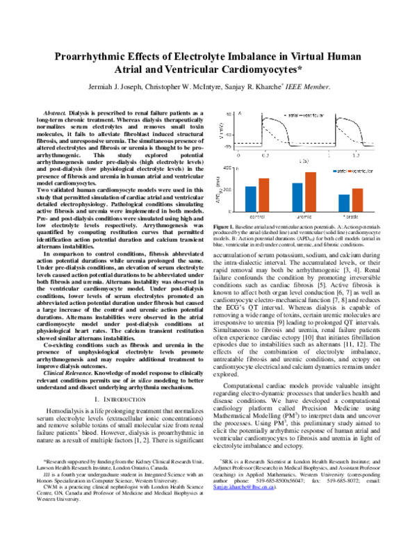 (PDF) Proarrhythmic Effects of Electrolyte Imbalance in Virtual Human ...