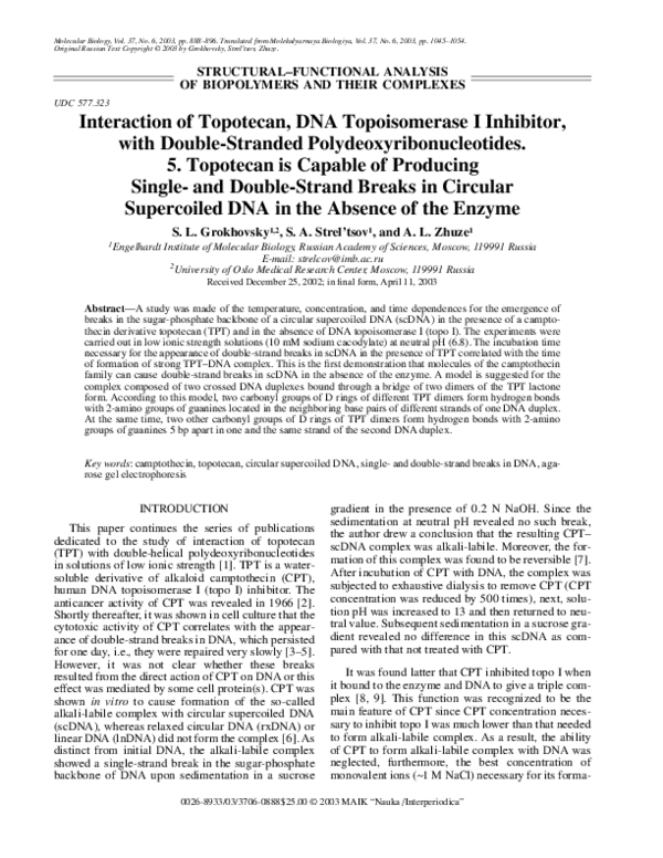 (PDF) Interaction of Topotecan, DNA Topoisomerase I Inhibitor, with Double-Stranded ...