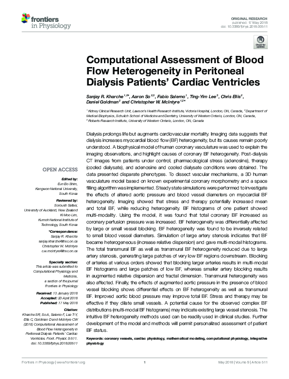 (PDF) Computational Assessment of Blood Flow Heterogeneity in ...