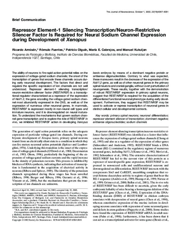 (PDF) Repressor Element-1 Silencing Transcription/Neuron-Restrictive ...