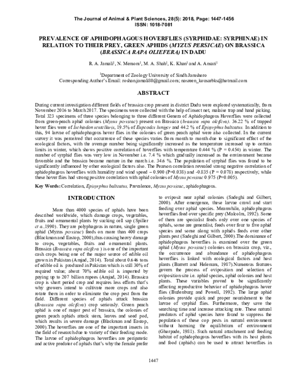 (PDF) Prevalence of Aphidophagous Hoverflies ( Syrphidae : Syrphinae ...