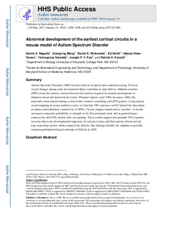(PDF) Abnormal Development of the Earliest Cortical Circuits in a Mouse ...