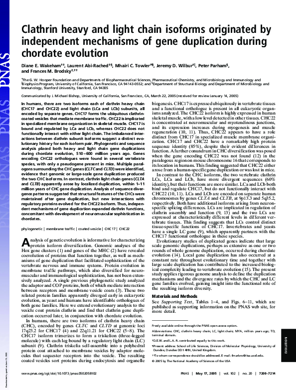 (PDF) Clathrin heavy and light chain isoforms originated by independent ...