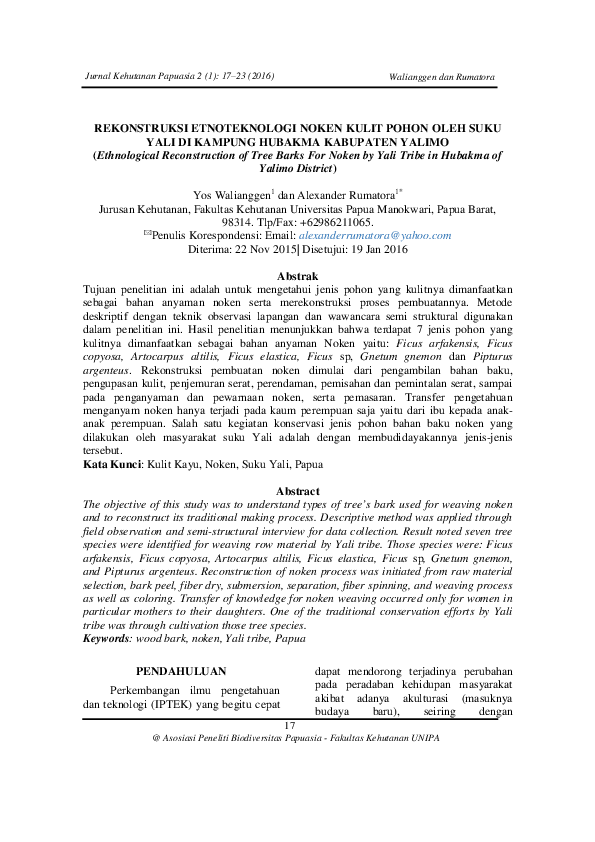 (PDF) Rekonstruksi Etnoteknologi Noken Kulit Pohon Oleh Suku Yali DI ...