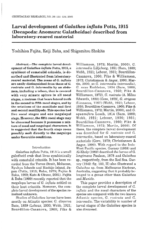 (PDF) Larval development of Galathea inflata Potts, 1915 (Decapoda ...