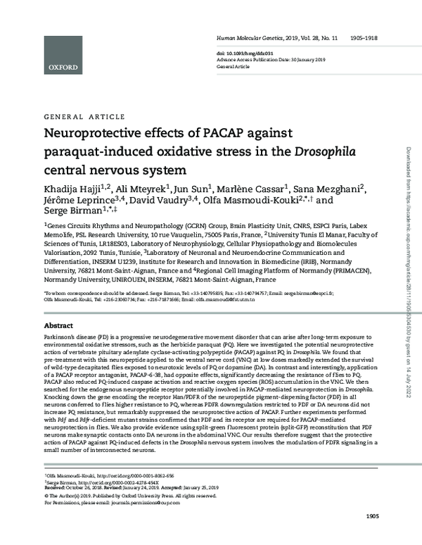 (PDF) Neuroprotective effects of PACAP against paraquat-induced ...