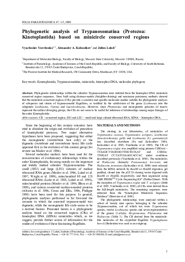 (PDF) Phylogenetic analysis of Trypanosomatina (Protozoa ...