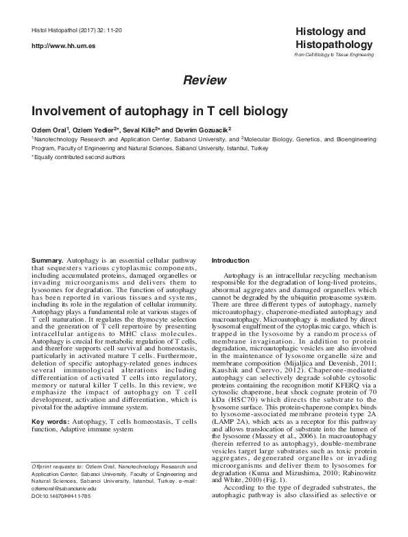 (PDF) Role of Autophagy in T Cell Development and Function