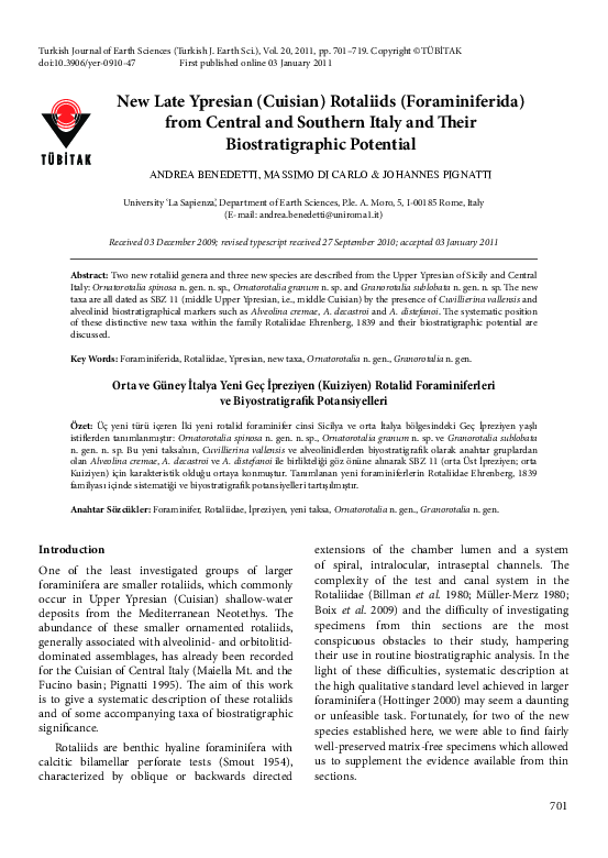 (PDF) New Late Ypresian (Cuisian) rotaliids (Foraminiferida) from ...