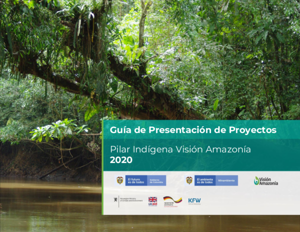 (PDF) Guía de Presentación de Proyectos