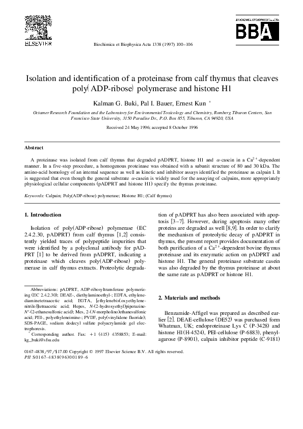 (PDF) Isolation and identification of a proteinase from calf thymus ...