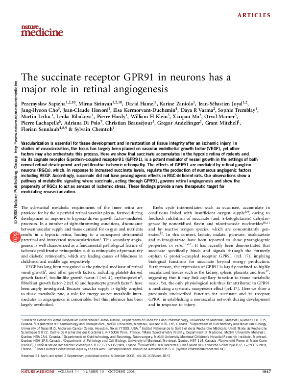 (PDF) The succinate receptor GPR91 in neurons has a major role in ...
