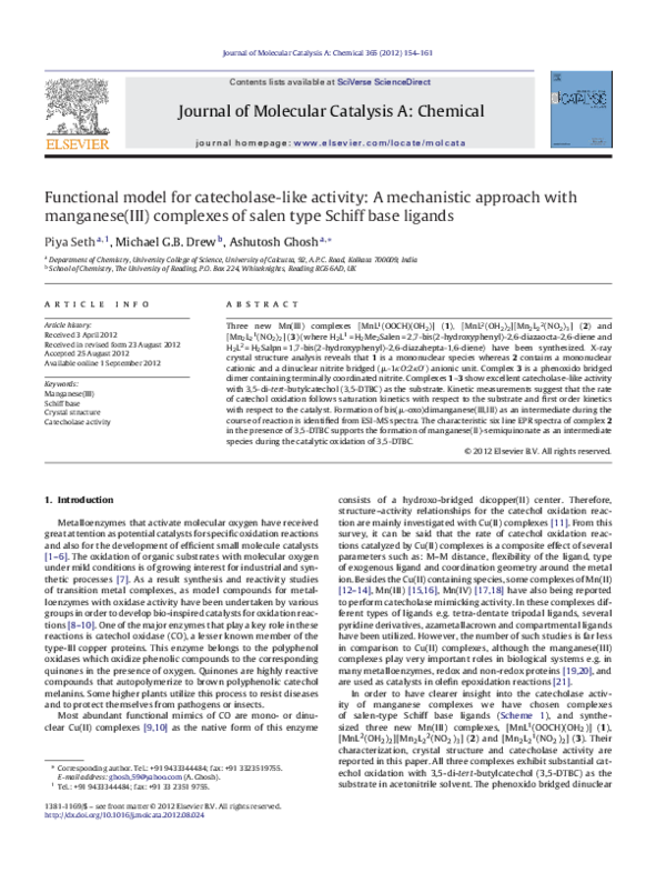 (PDF) Functional model for catecholase-like activity: A mechanistic ...