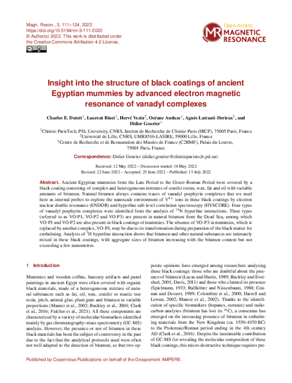 (PDF) Insight into the structure of black coatings of ancient Egyptian ...
