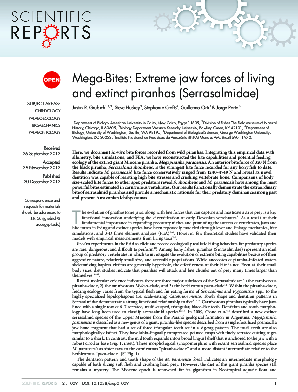 (PDF) Mega-Bites: Extreme jaw forces of living and extinct piranhas ...