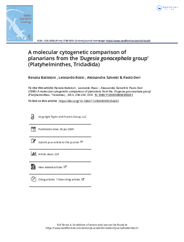 (PDF) A molecular cytogenetic comparison of planarians from the’Dugesia ...