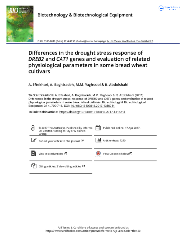 (PDF) Differences in the drought stress response ofDREB2andCAT1genes and evaluation of related ...