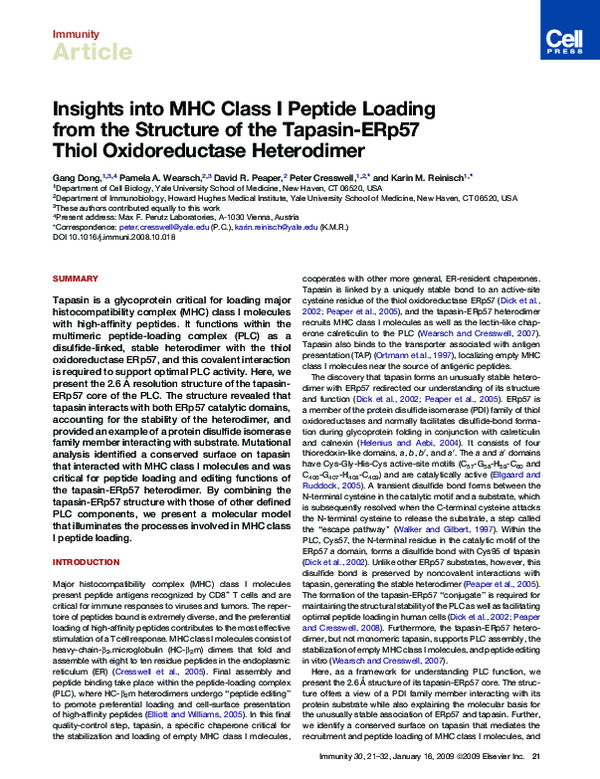 (PDF) Insights into MHC Class I Peptide Loading from the Structure of ...