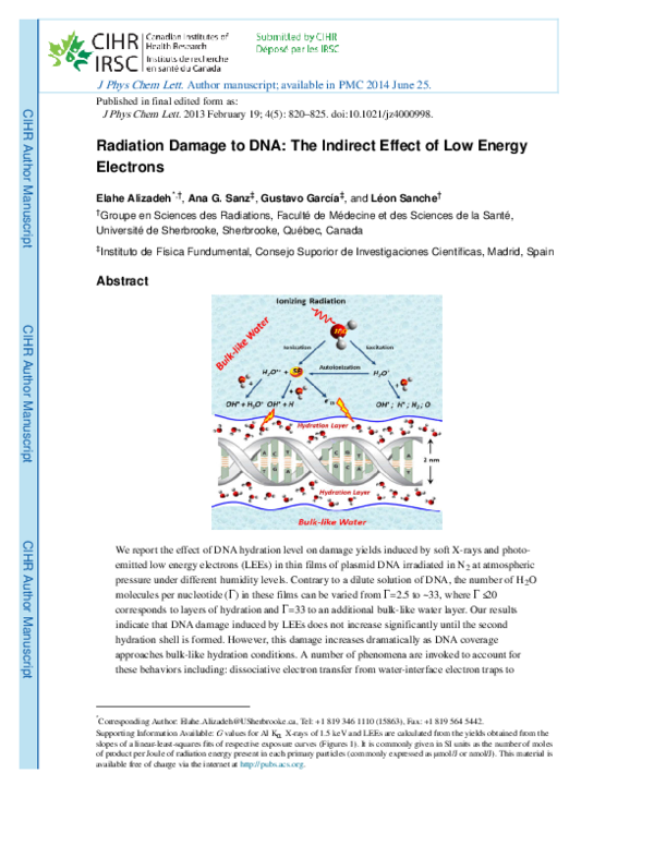 (PDF) Radiation Damage to DNA: The Indirect Effect of Low-Energy Electrons