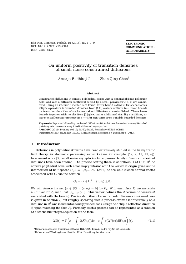 Pdf Of Small Noise Constrained Diffusions Amarjit Budhiraja