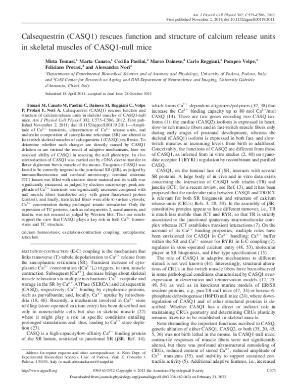 (PDF) Calsequestrin (CASQ1) rescues function and structure of calcium ...