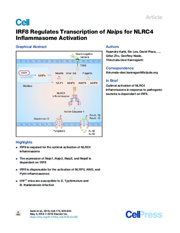 (PDF) IRF8 Regulates Transcription of Naips for NLRC4 Inflammasome ...