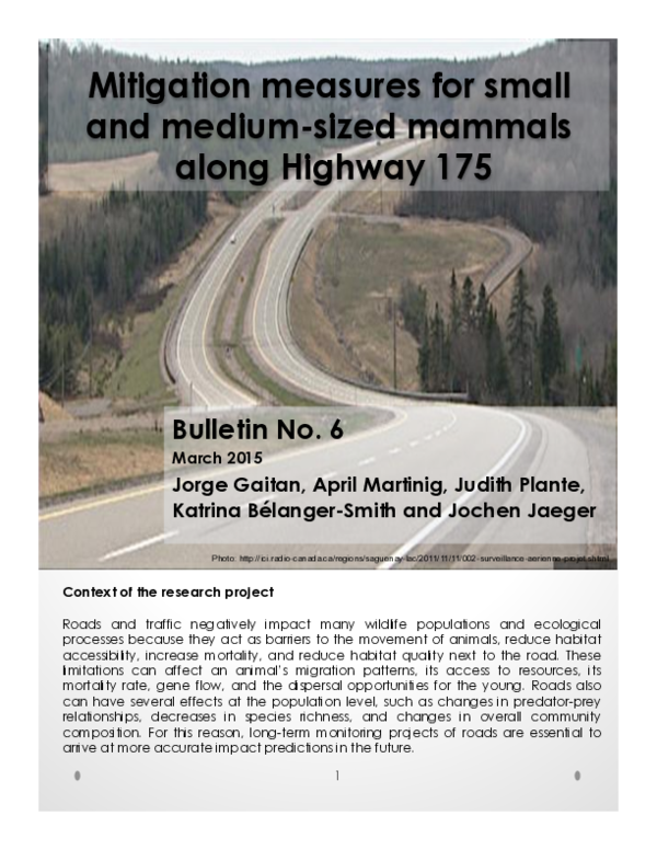 (PDF) Mitigation measures for small and medium-sized mammals along ...