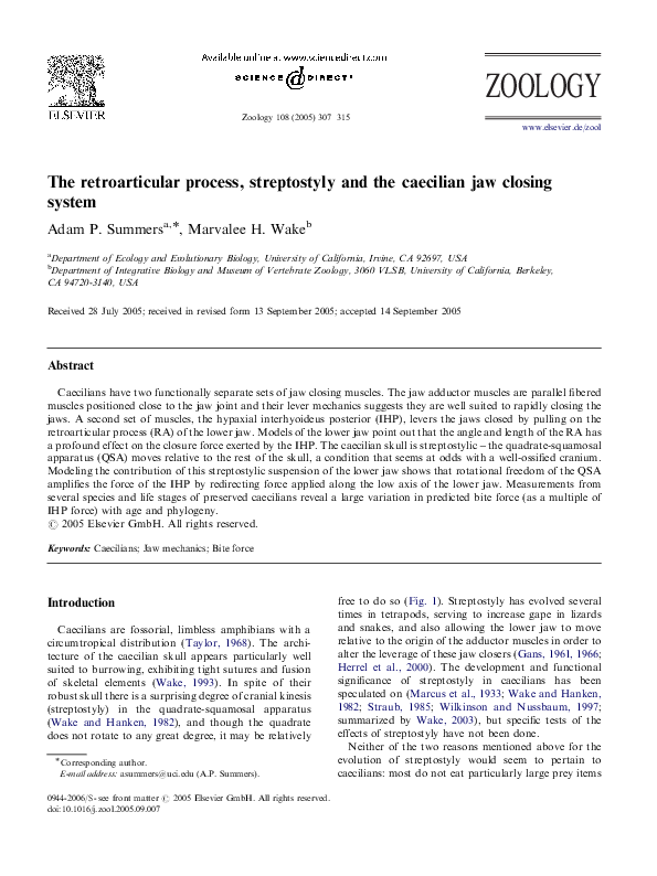 (PDF) The retroarticular process, streptostyly and the caecilian jaw ...
