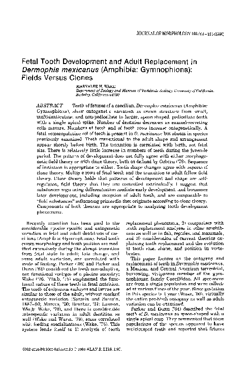 (PDF) Fetal tooth development and adult replacement inDermophis ...