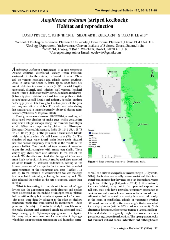 (PDF) Amphiesma stolatum (striped keelback): Habitat and reproduction