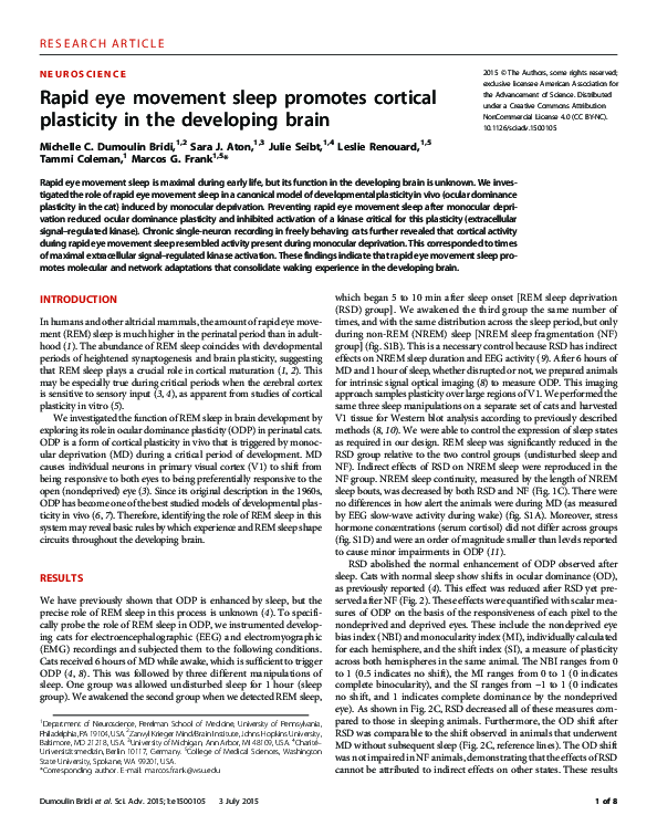 (PDF) Rapid eye movement sleep promotes cortical plasticity in the ...