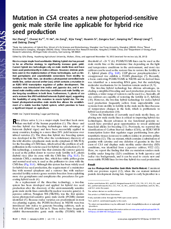 (PDF) Mutation in CSA creates a new photoperiod-sensitive genic male ...