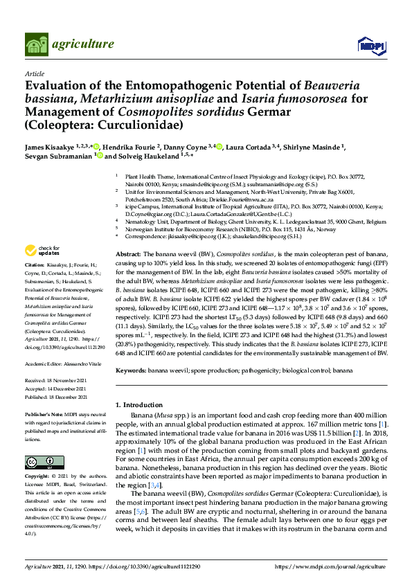 (PDF) Evaluation of the Entomopathogenic Potential of Beauveria bassiana, Metarhizium anisopliae ...