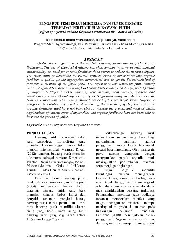 (PDF) Pengaruh Pemberian Mikoriza Dan Pupuk Organik Terhadap Pertumbuhan Bawang Putih