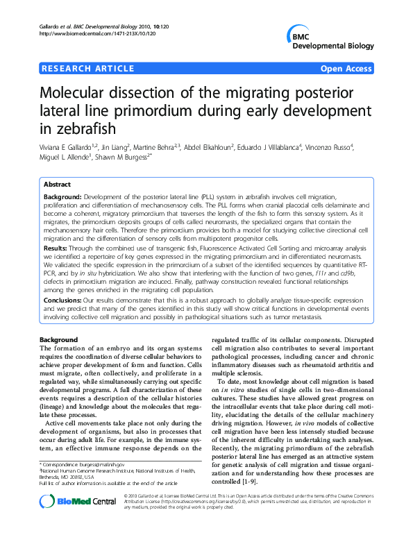 (PDF) Molecular dissection of the migrating posterior lateral line ...