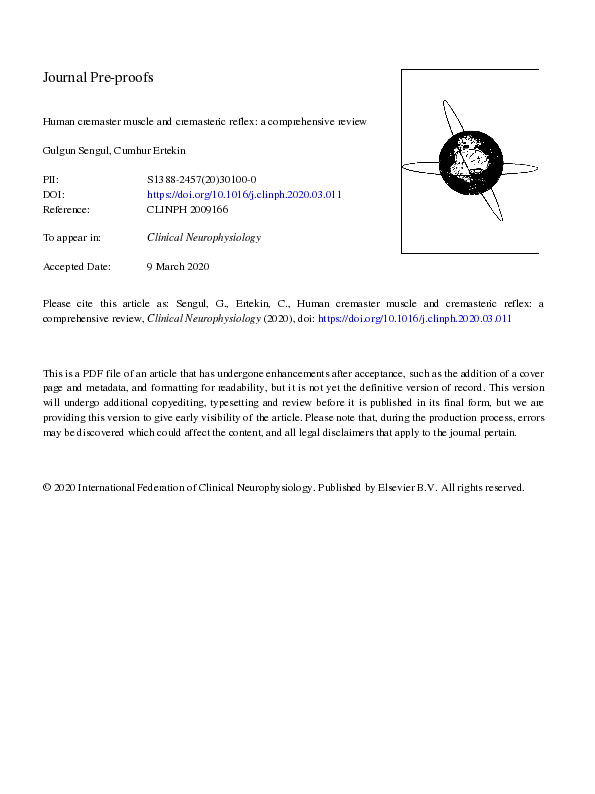 (PDF) Human cremaster muscle and cremasteric reflex: A comprehensive review