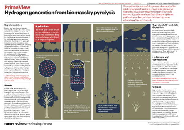 (PDF) Hydrogen generation from biomass by pyrolysis