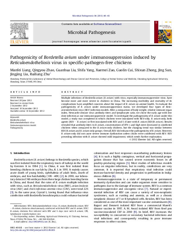 (PDF) Pathogenicity of Bordetella avium under immunosuppression induced ...
