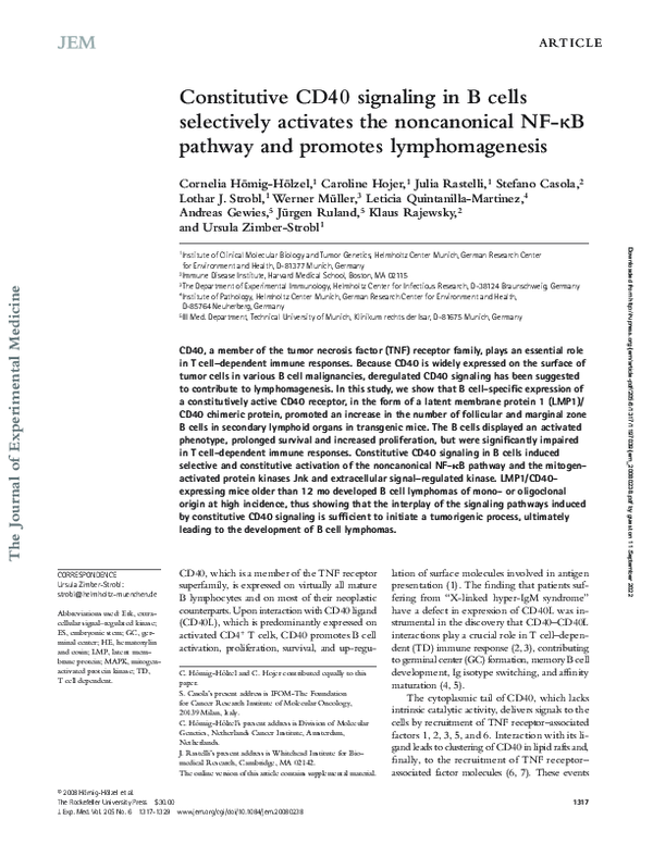 (PDF) Constitutive CD40 signaling in B cells selectively activates the ...