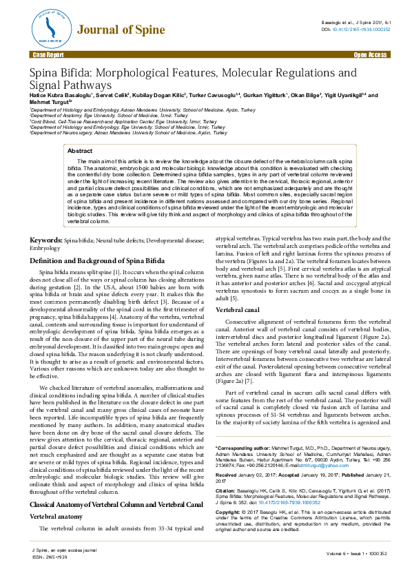 (PDF) Spina Bifida: Morphological Features, Molecular Regulations and ...