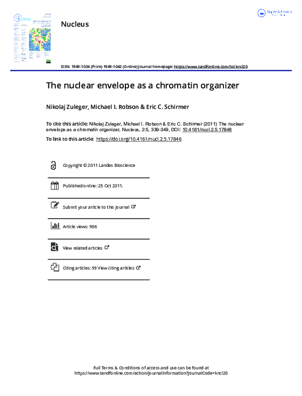 (PDF) The nuclear envelope as a chromatin organizer