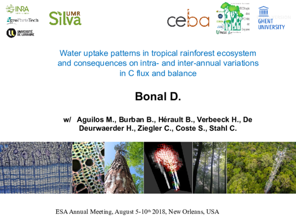 (PPT) Water uptake patterns in a tropical rainforest ecosystem and ...