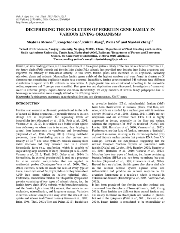 (PDF) Deciphering the evolution of ferritin gene family in various ...