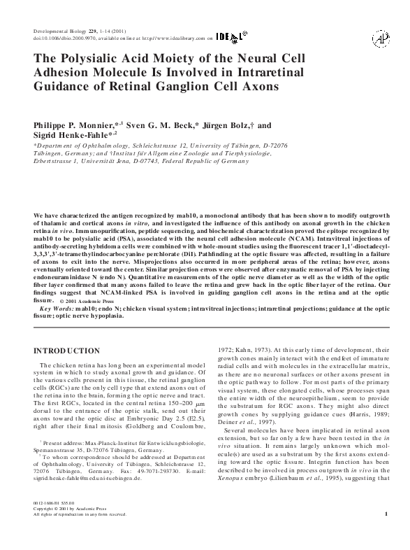 (PDF) The Polysialic Acid Moiety of the Neural Cell Adhesion Molecule Is Involved in ...