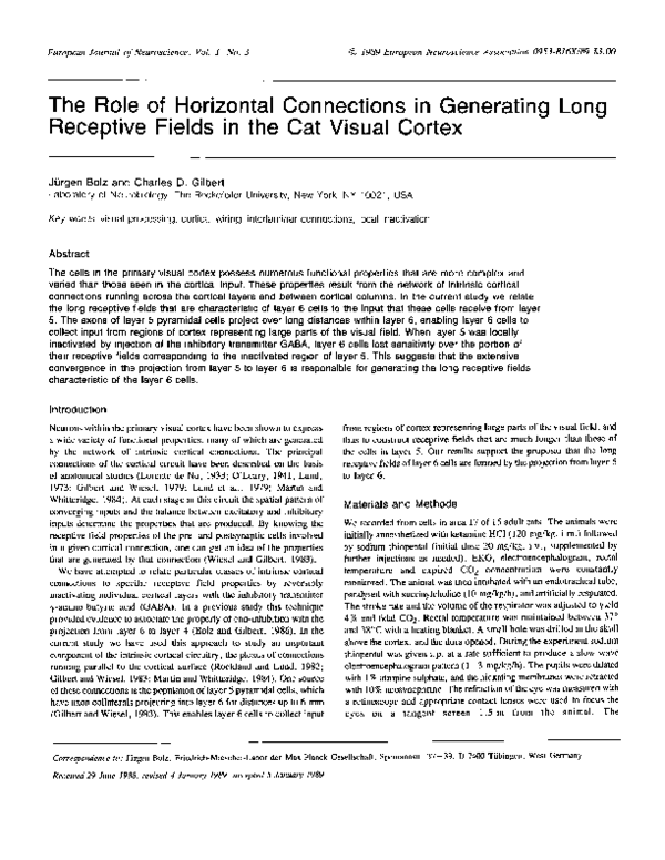 (PDF) The Role of Horizontal Connections in Generating Long Receptive Fields in the Cat Visual ...