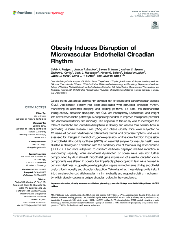 (PDF) Obesity Induces Disruption of Microvascular Endothelial Circadian ...