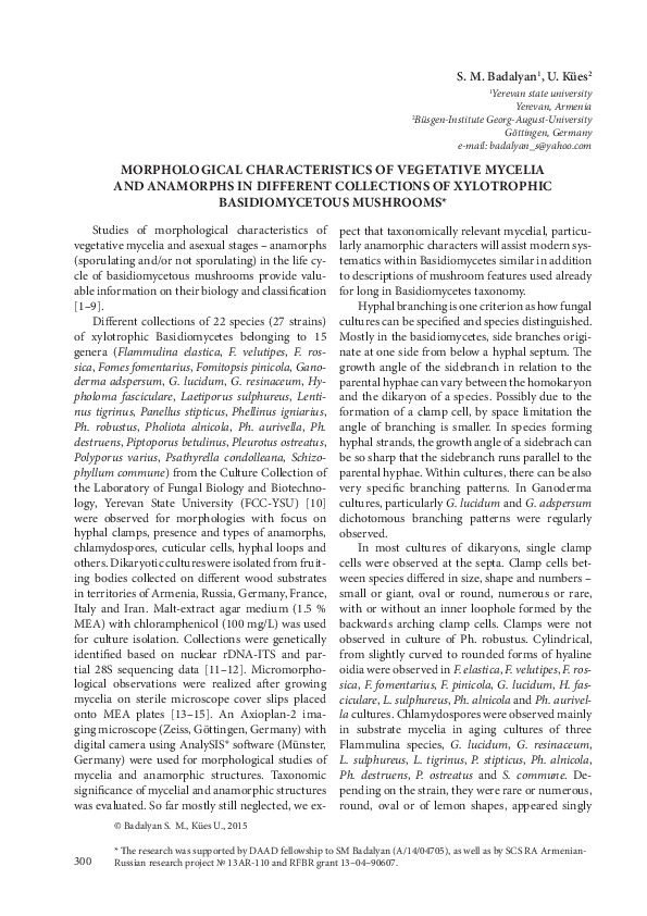 (PDF) Morphological characteristics of vegetative mycelia and anamorphs ...